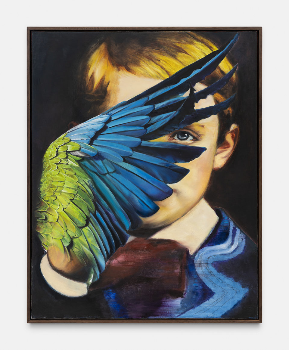 rodolphe janssen | Artists