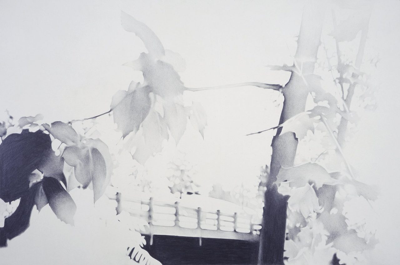 rodolphe janssen | Banks Violette