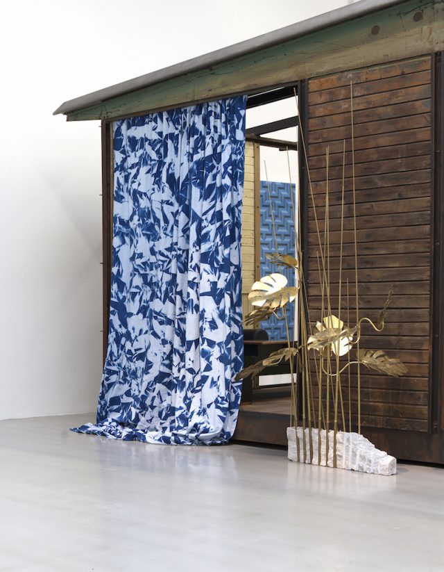 rodolphe janssen | Elaine Cameron-Weir